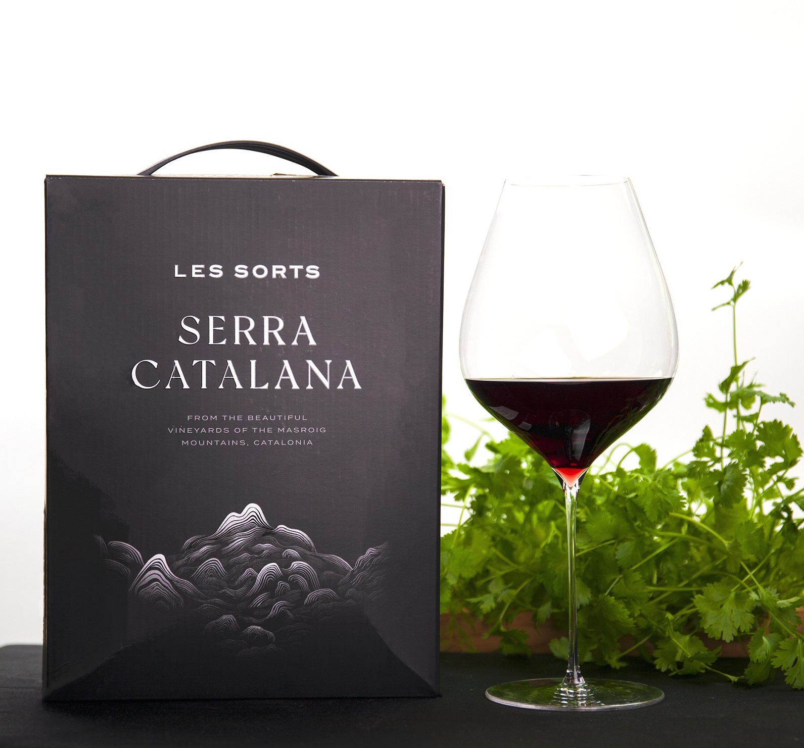 Les Sorts Serra Catalana tar boxvinet till nästa nivå! - Boxtoppen